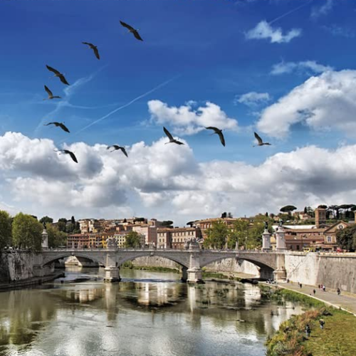 Biodiversità a Roma - Explora - Il museo dei bambini di Roma